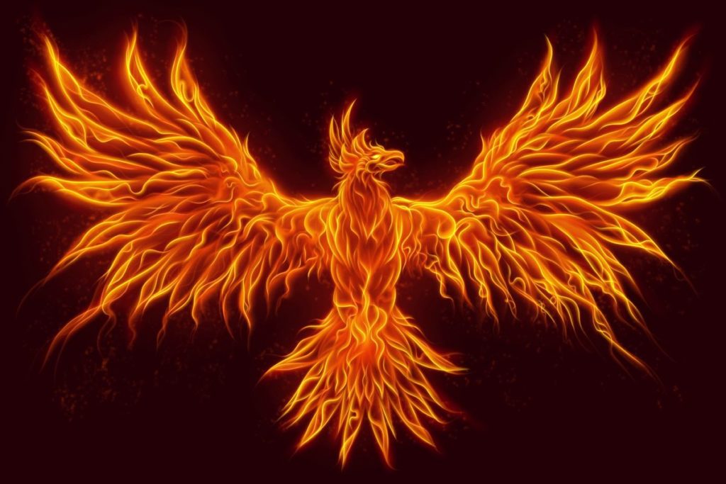 Fenice: animale totemico custode del fuoco di tutto il creato - crono.news